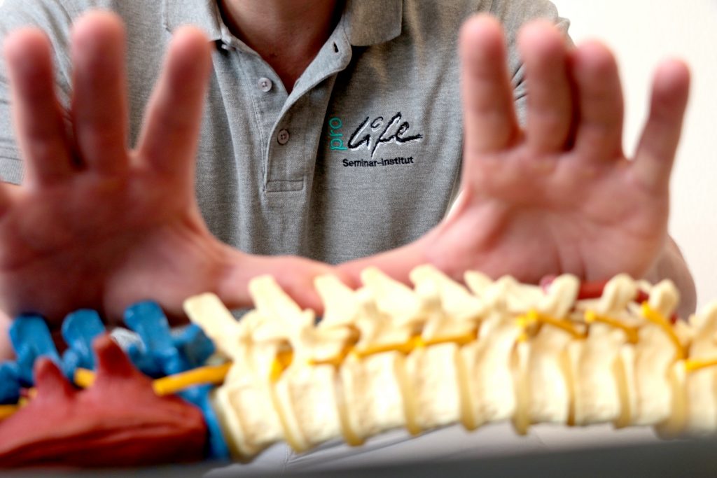 Sanfte Chiropraktik Thompson Technik - Chiropraktik Wien